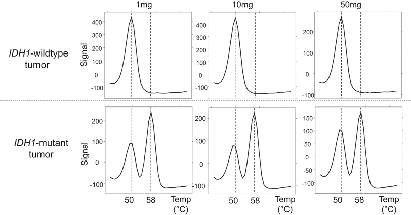 A novel all-in-one intraoperative genotyping system for IDH1-mutant ...