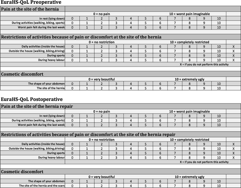 EuraHS: the development of an international online platform for ...