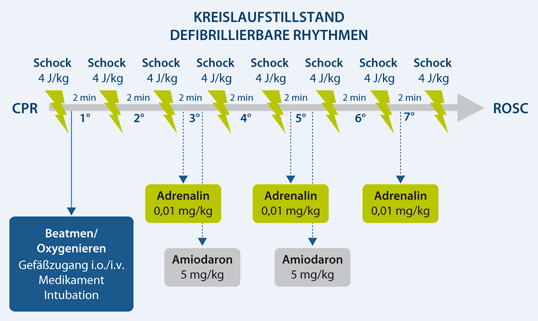 Lebensrettende Maßnahmen bei Kindern („paediatric life support ...