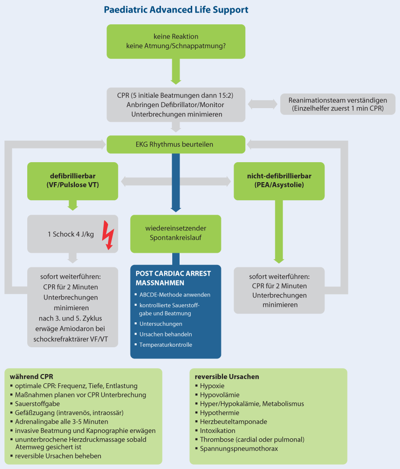 Kurzdarstellung | SpringerLink