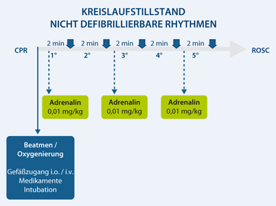 Kurzdarstellung | SpringerLink