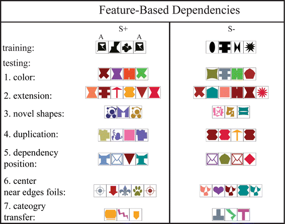Non-adjacent visual dependency learning in chimpanzees | SpringerLink