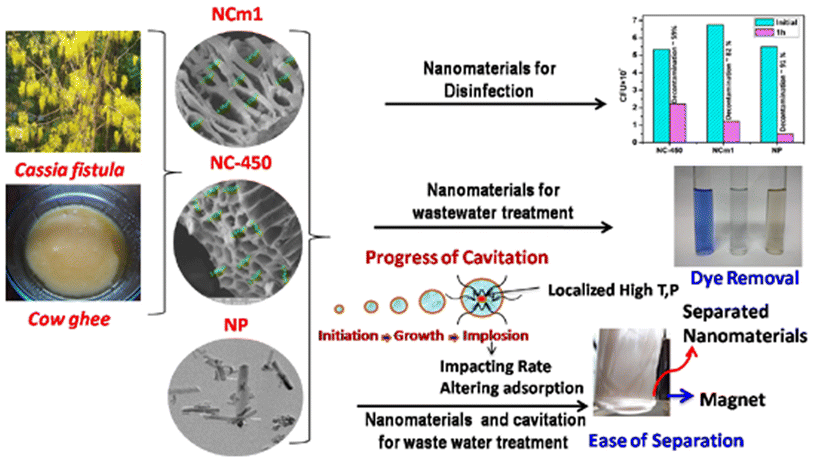 Exploiting functionalities of biomass in nanocomposite development ...