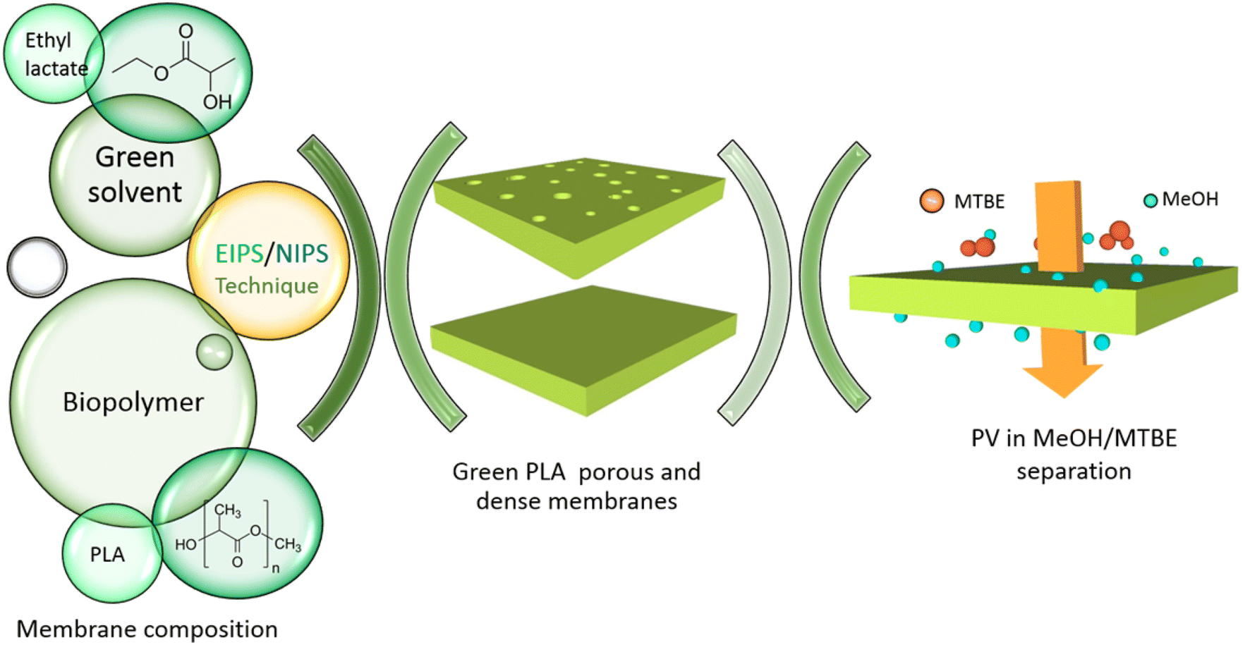 Preparation and characterization of green polylactic acid (PLA ...