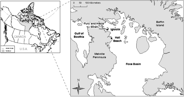 Vulnerability of Inuit food systems to food insecurity as a consequence ...