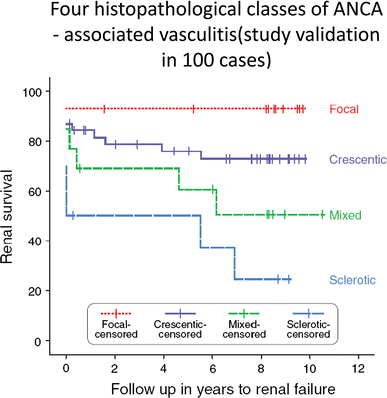 Pathology of ANCA-associated vasculitis | SpringerLink