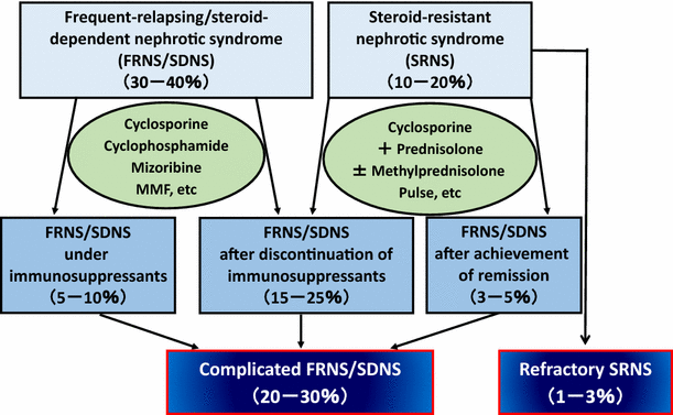Rituximab for nephrotic syndrome in children | SpringerLink