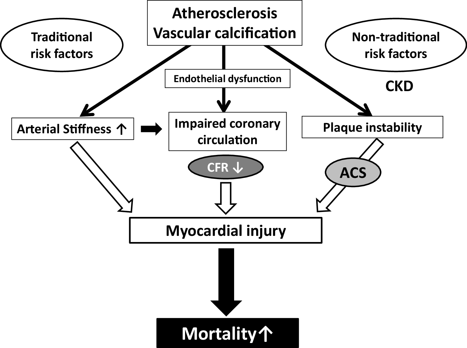 Characteristics of coronary artery disease in chronic kidney disease ...