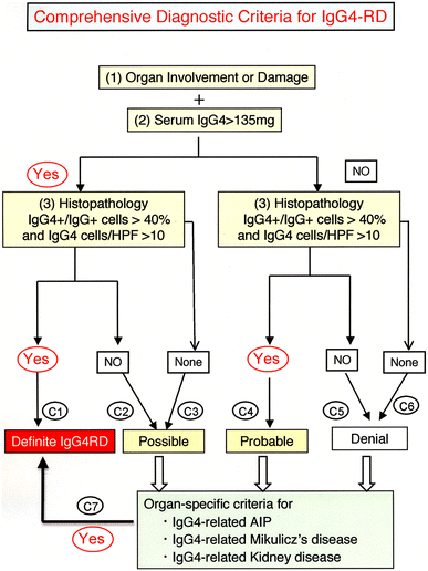 Comprehensive diagnostic criteria for IgG4-related disease (IgG4-RD ...