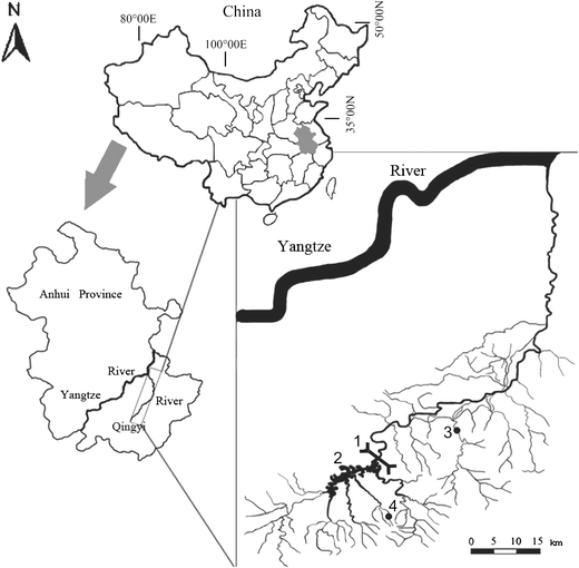 Life-history strategies of Acrossocheilus fasciatus (Barbinae ...