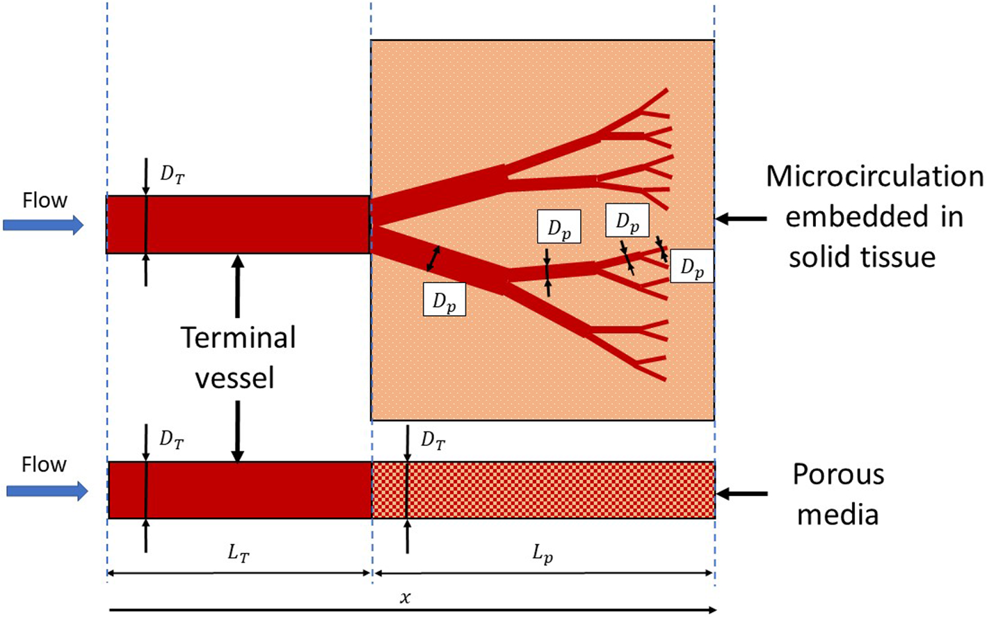 A novel porous media-based approach to outflow boundary resistances of ...