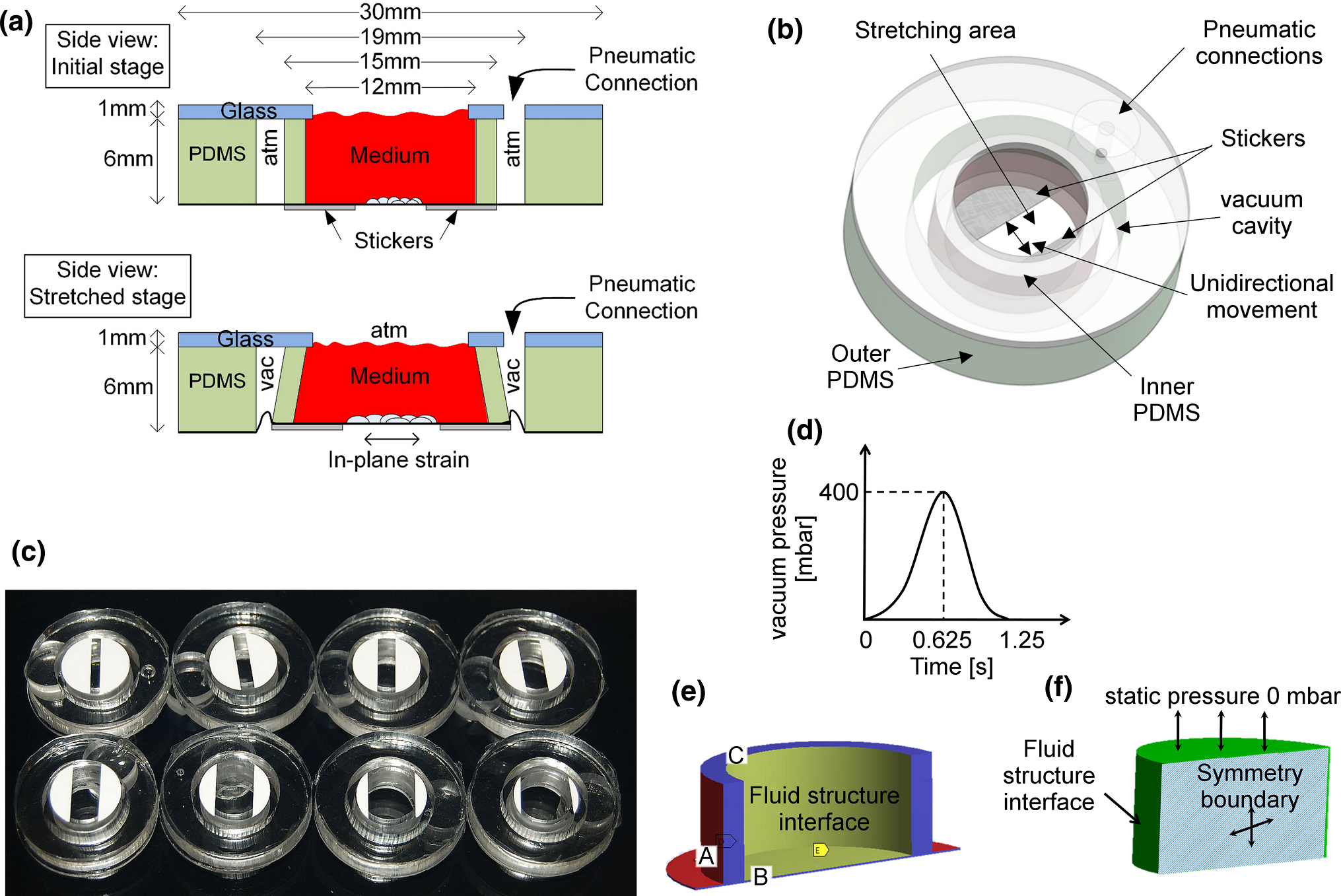 Pneumatic unidirectional cell stretching device for mechanobiological ...