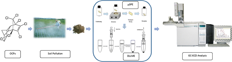 Optimization of Membrane-Protected Micro-solid-Phase Extraction Coupled ...