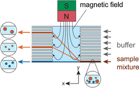 Particle separation and sorting in microfluidic devices: a review ...