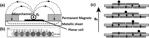 Particle separation and sorting in microfluidic devices: a review ...