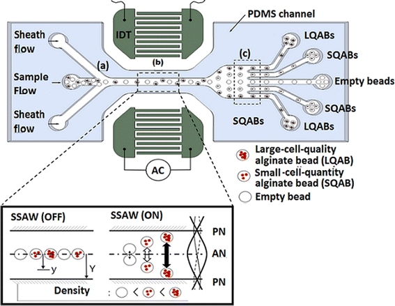 Particle separation and sorting in microfluidic devices: a review ...