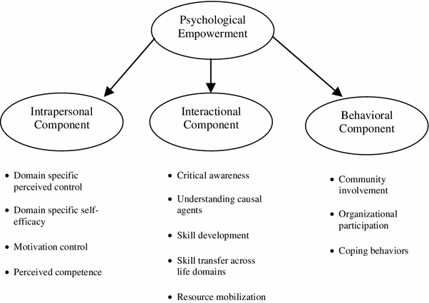 Empowerment Theory: Clarifying the Nature of Higher-Order ...