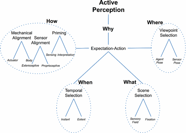 Revisiting active perception | SpringerLink