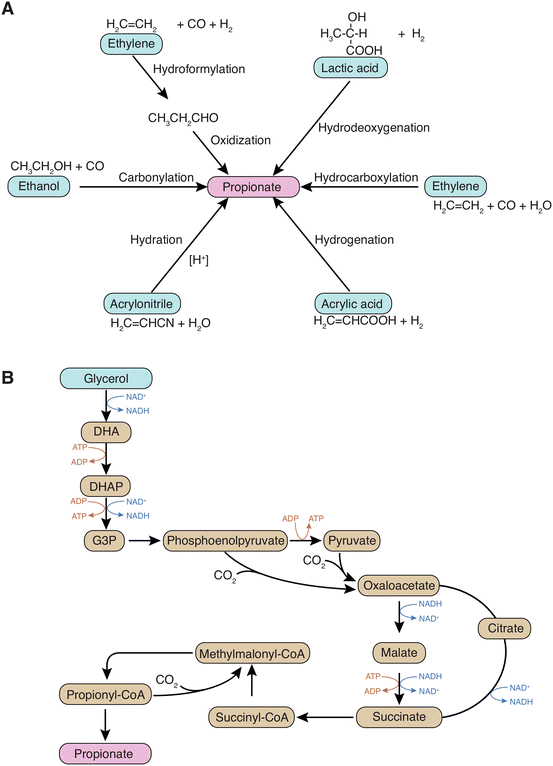 Current advances in biological production of propionic acid | SpringerLink