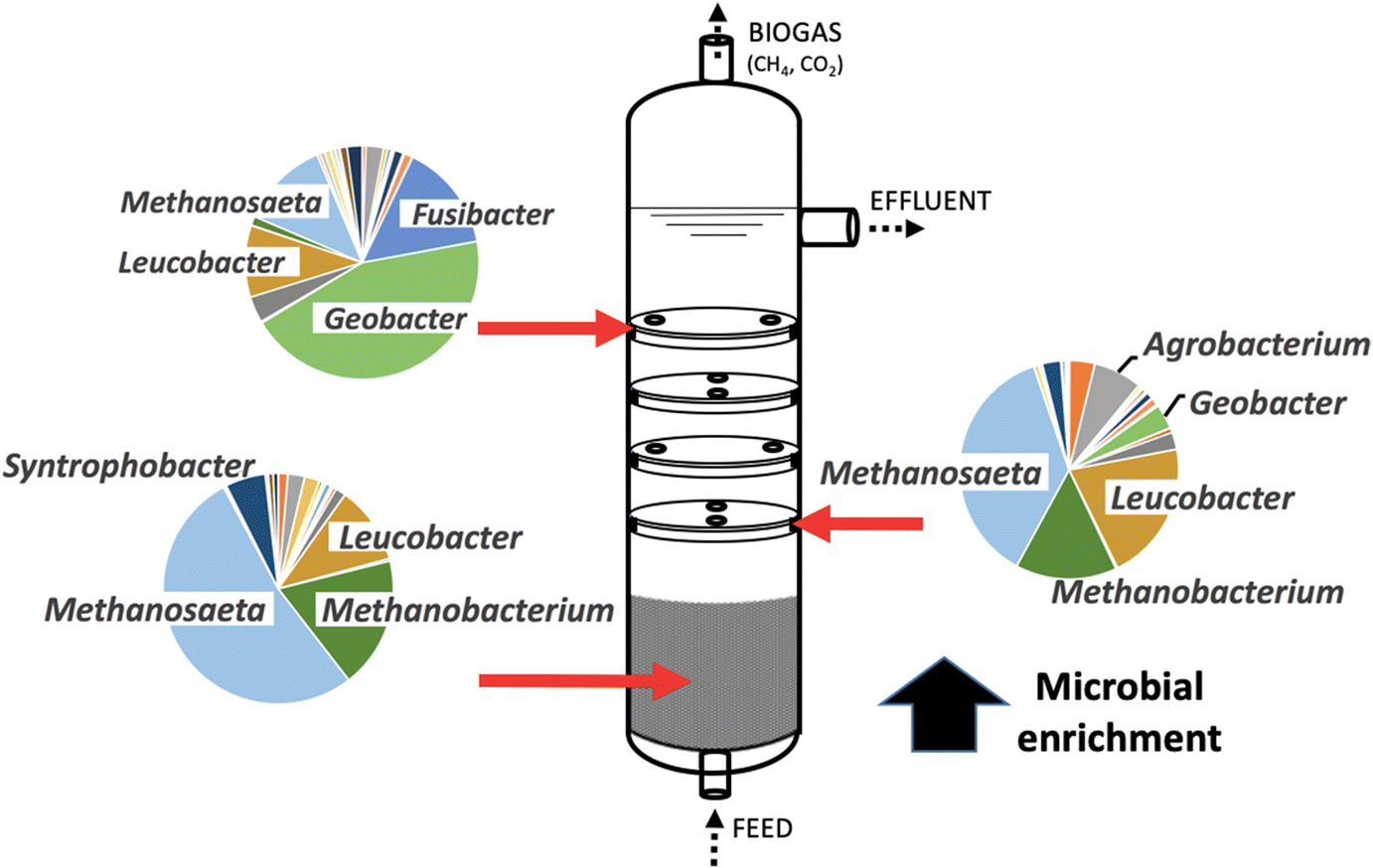 Biofilm microbial composition changes due to different surface chemical ...