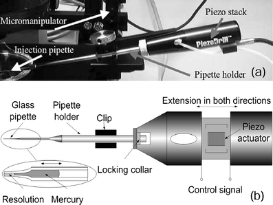 A universal piezo-driven ultrasonic cell microinjection system ...