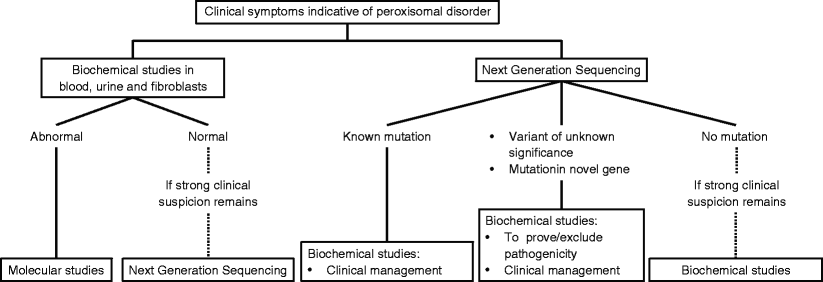 The important role of biochemical and functional studies in the ...