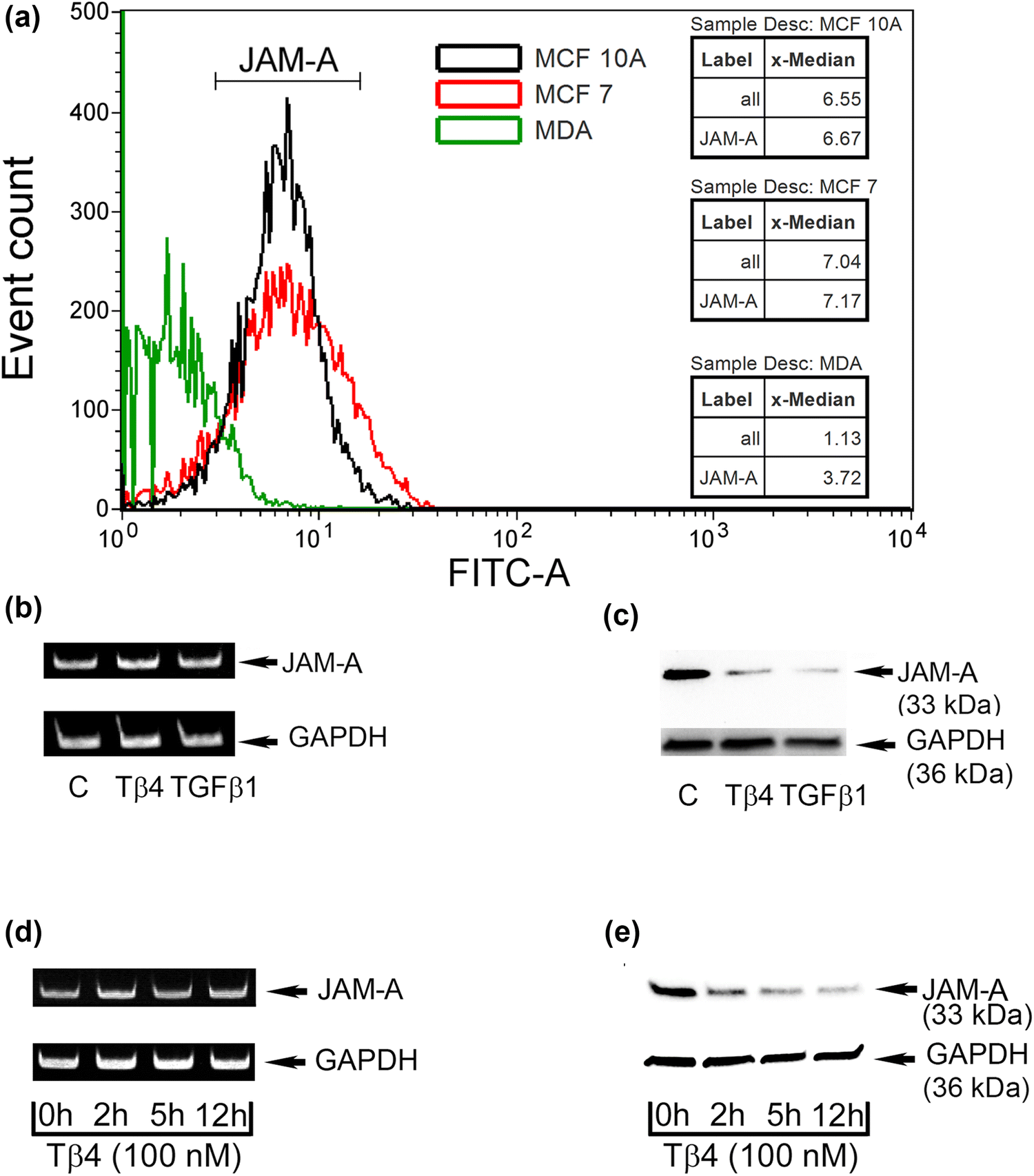 Functional inhibition of F11 receptor (F11R/junctional adhesion ...