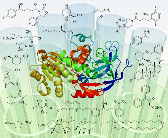 Biocatalysis | SpringerLink