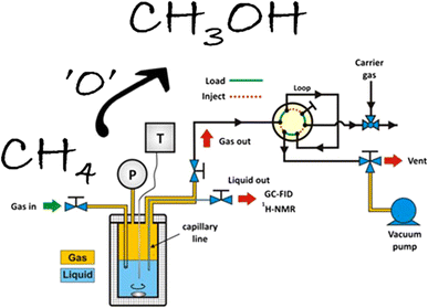 Selective Oxidation of Methane to Methanol Over Cu- and Fe-Exchanged ...