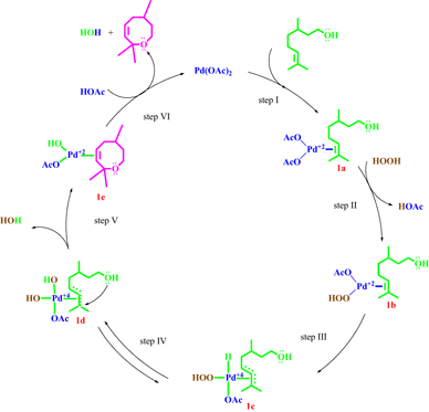 Novel Palladium-Catalyzed Oxidative Intramolecular Cyclization of β ...