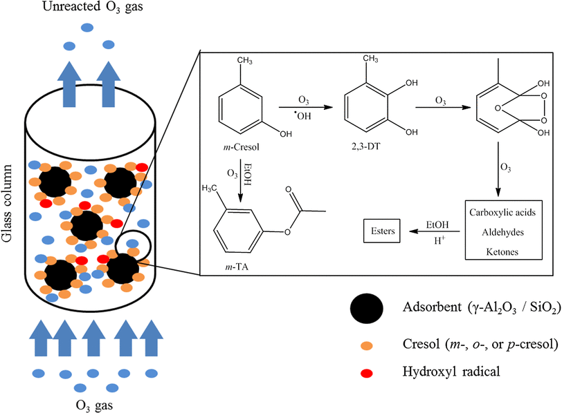 Ozone Initiated Oxidation of Cresol Isomers Using γ-Al2O3 and SiO2 as ...