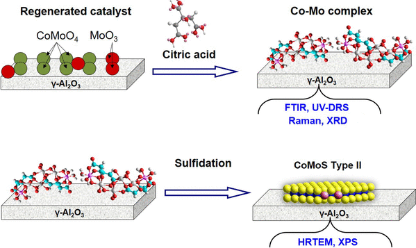 Reactivation of CoMo/Al2O3 Hydrotreating Catalysts by Citric Acid ...