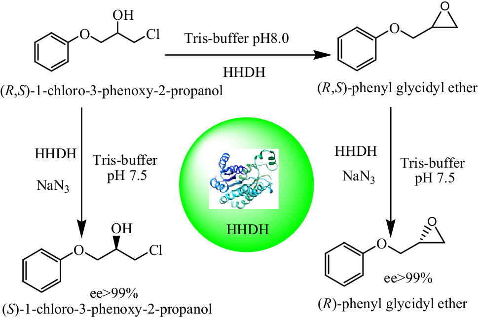 Exploring the Biocatalytic Scope of a Novel Enantioselective Halohydrin ...