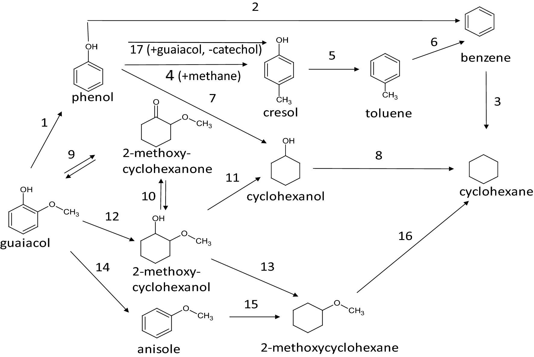 Kinetic and Thermodynamic Analysis of Guaiacol Hydrodeoxygenation ...
