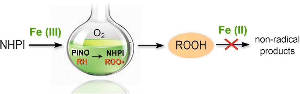 An Improved Catalytic Performance of Fe(III)-promoted NHPI in the ...