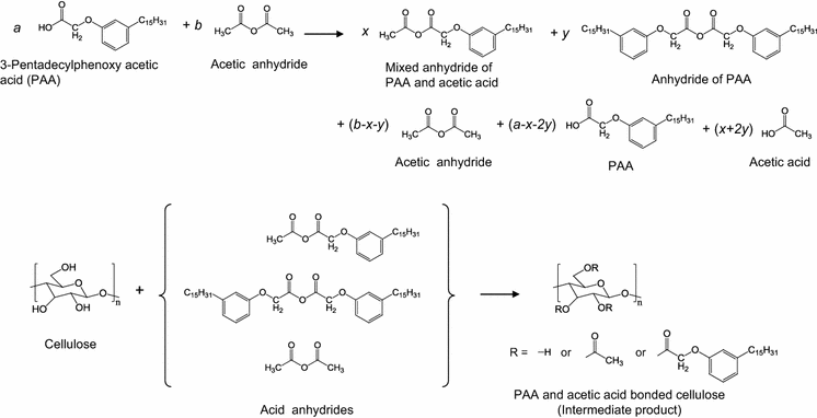 Development of cardanol-bonded cellulose thermoplastics: high ...