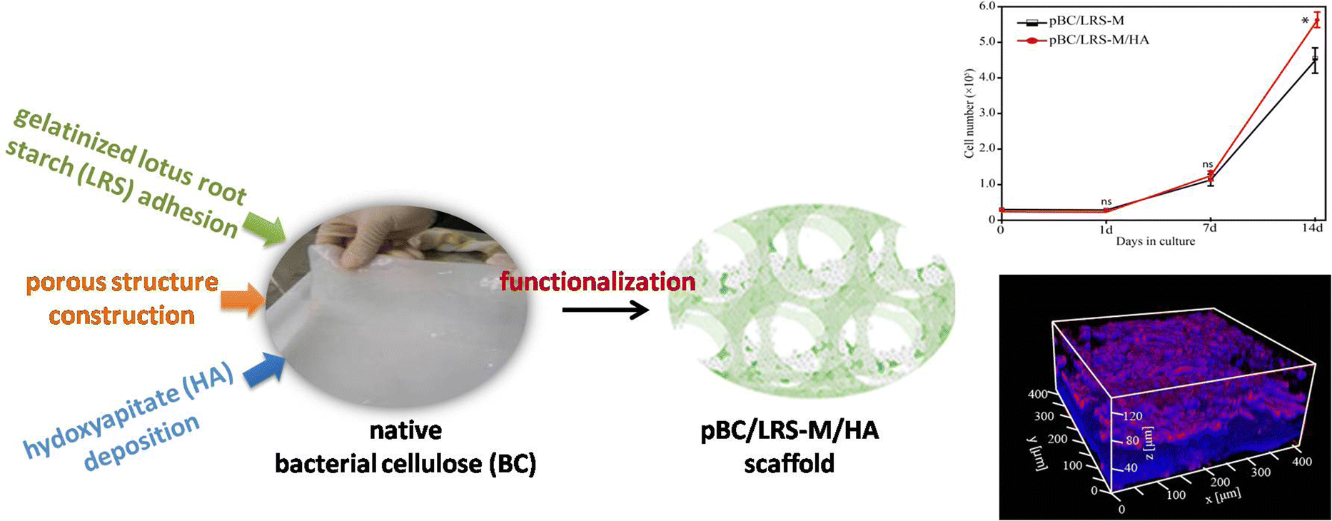 Simultaneous 3D cell distribution and bioactivity enhancement of ...
