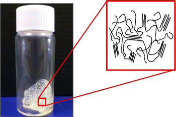 Cellulose gelation in NaOH solutions is due to cellulose ...