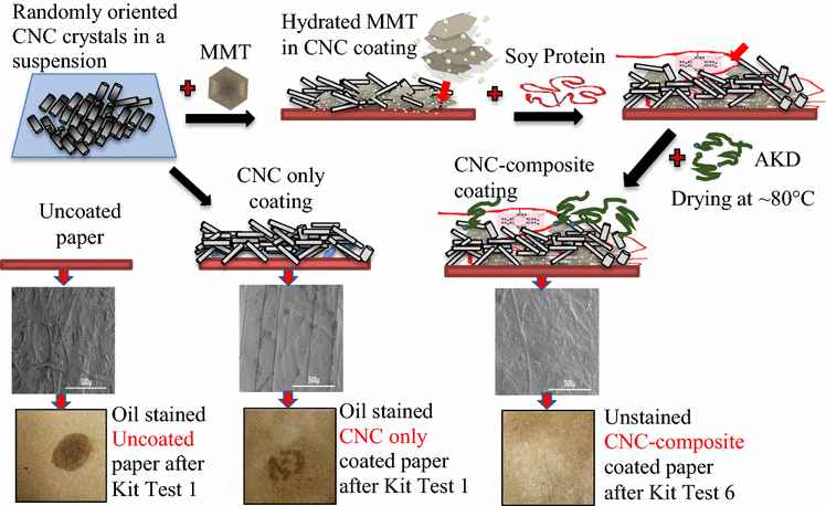 High performance nanocellulose-based composite coatings for oil and ...