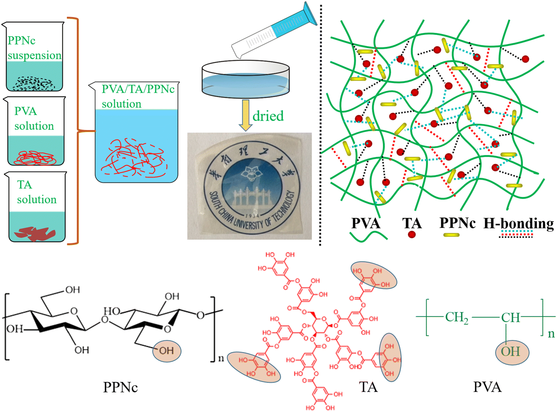 Enhanced performances of polyvinyl alcohol films by introducing tannic ...