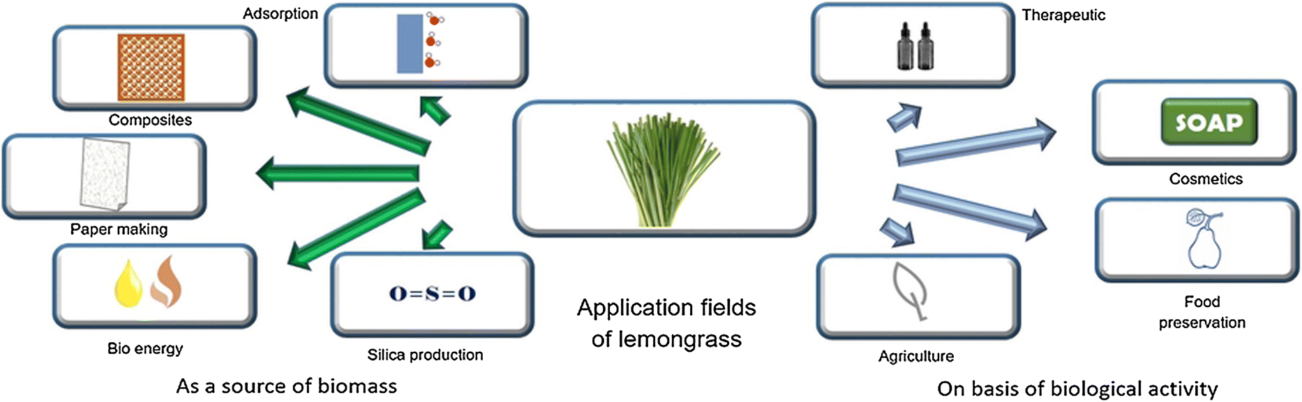 Lemongrass ( Cymbopogon): a review on its structure, properties ...