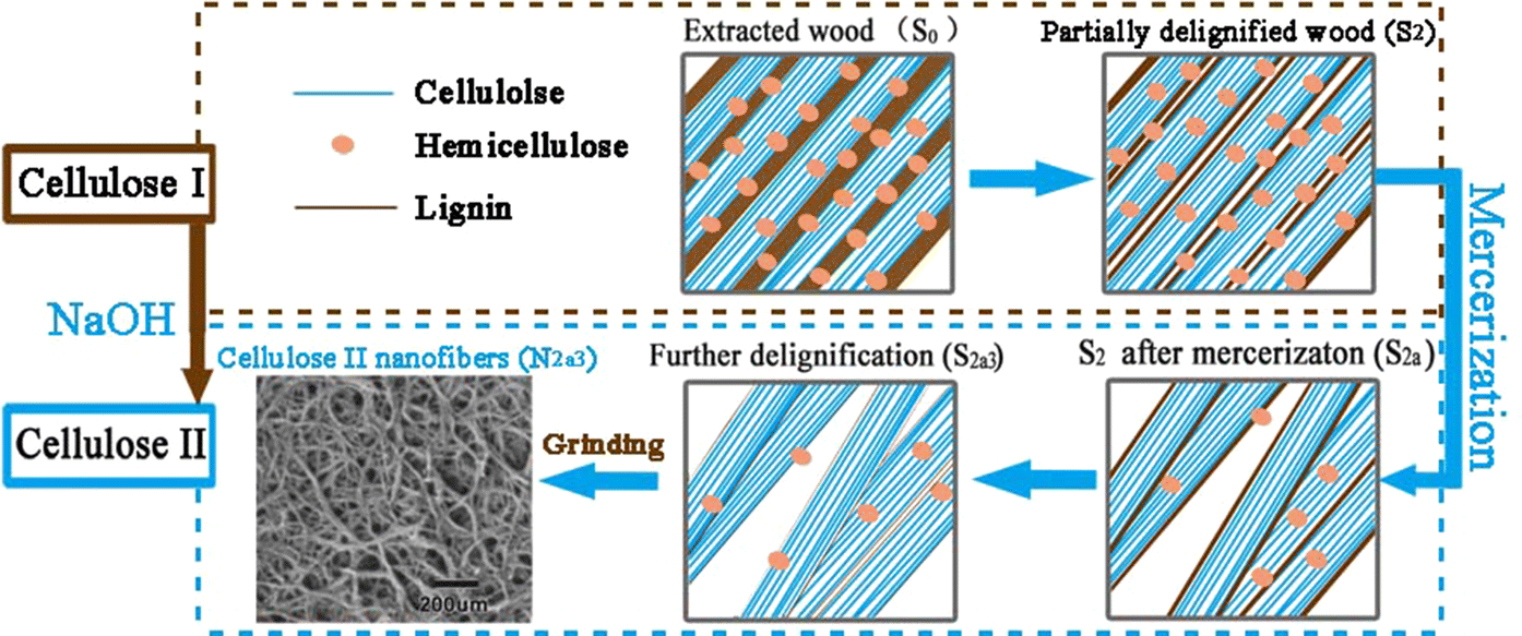 Effect of delignification technique on the ease of fibrillation of ...