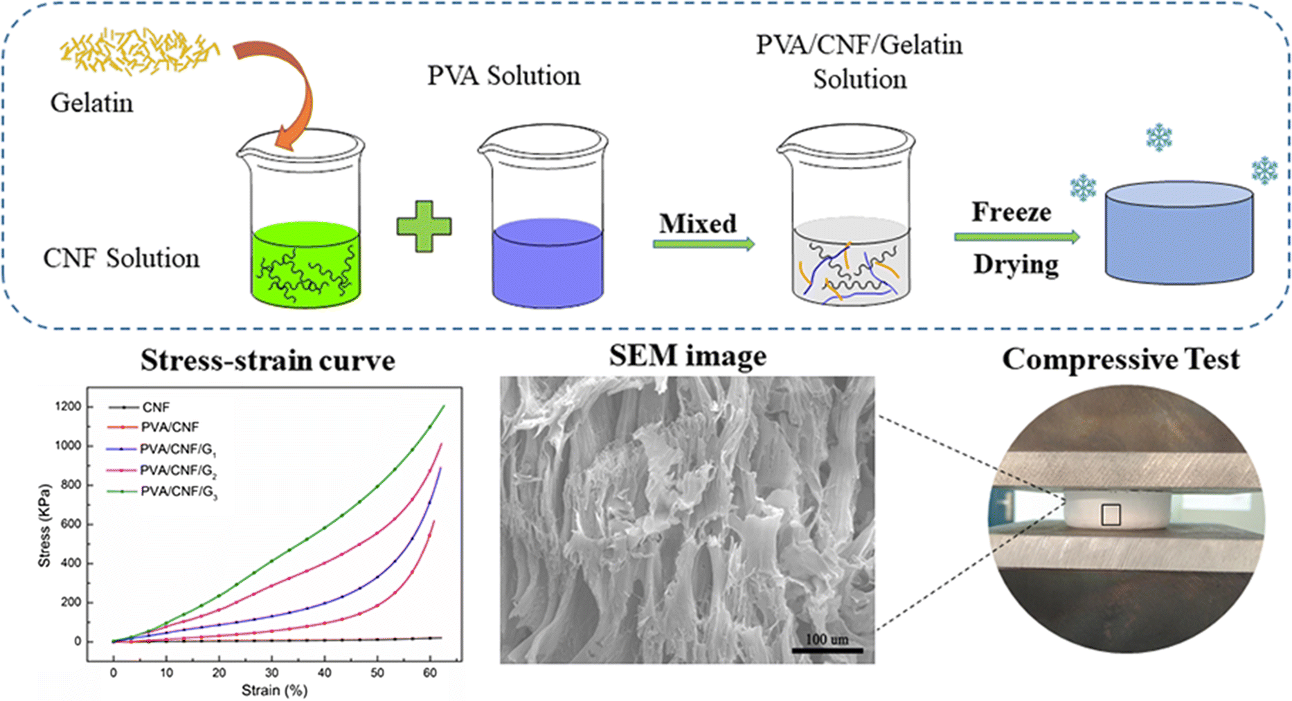Mechanical performance and thermal stability of polyvinyl alcohol ...