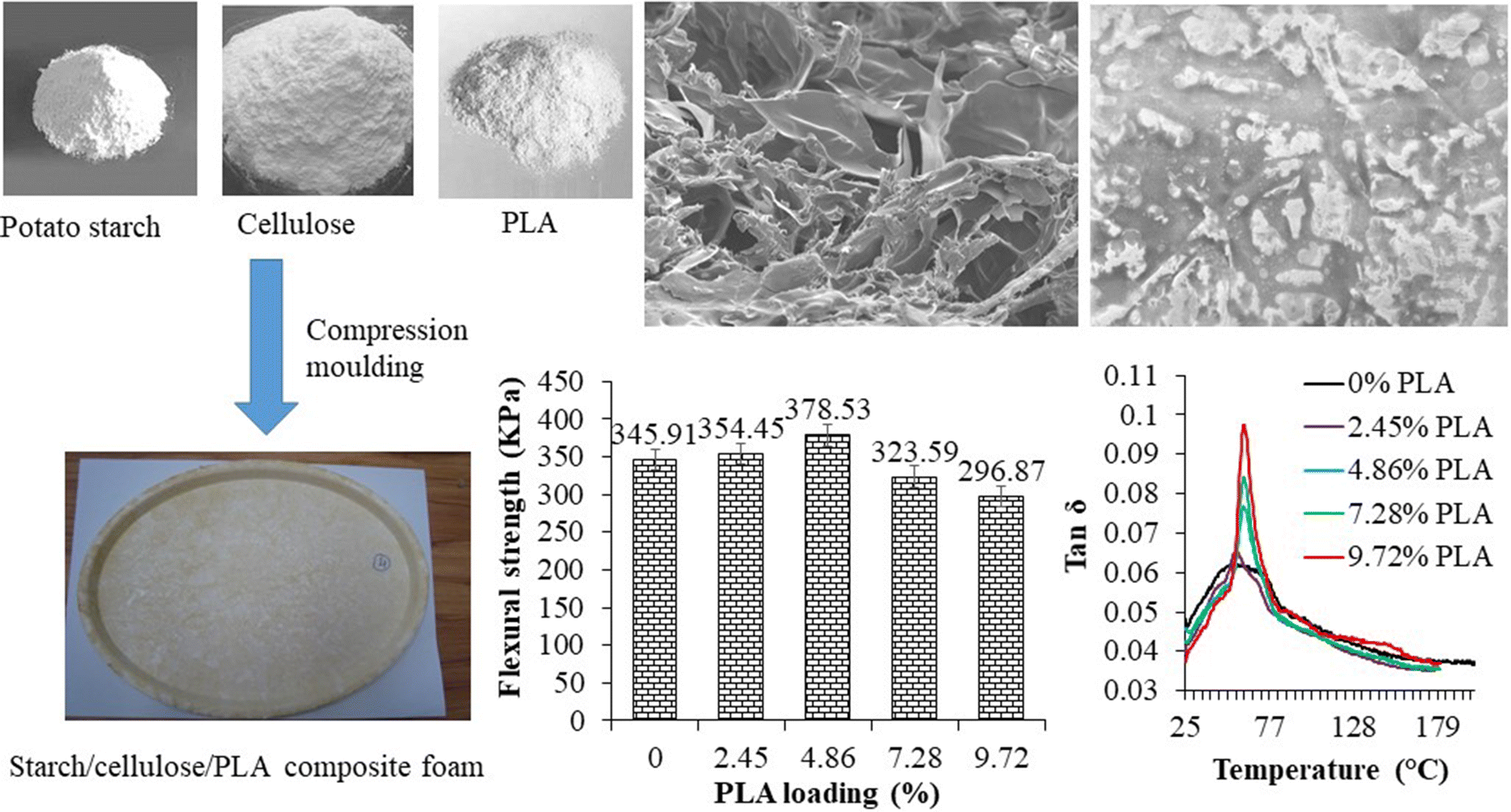 Thermo-mechanical, morphological and water absorption properties of ...