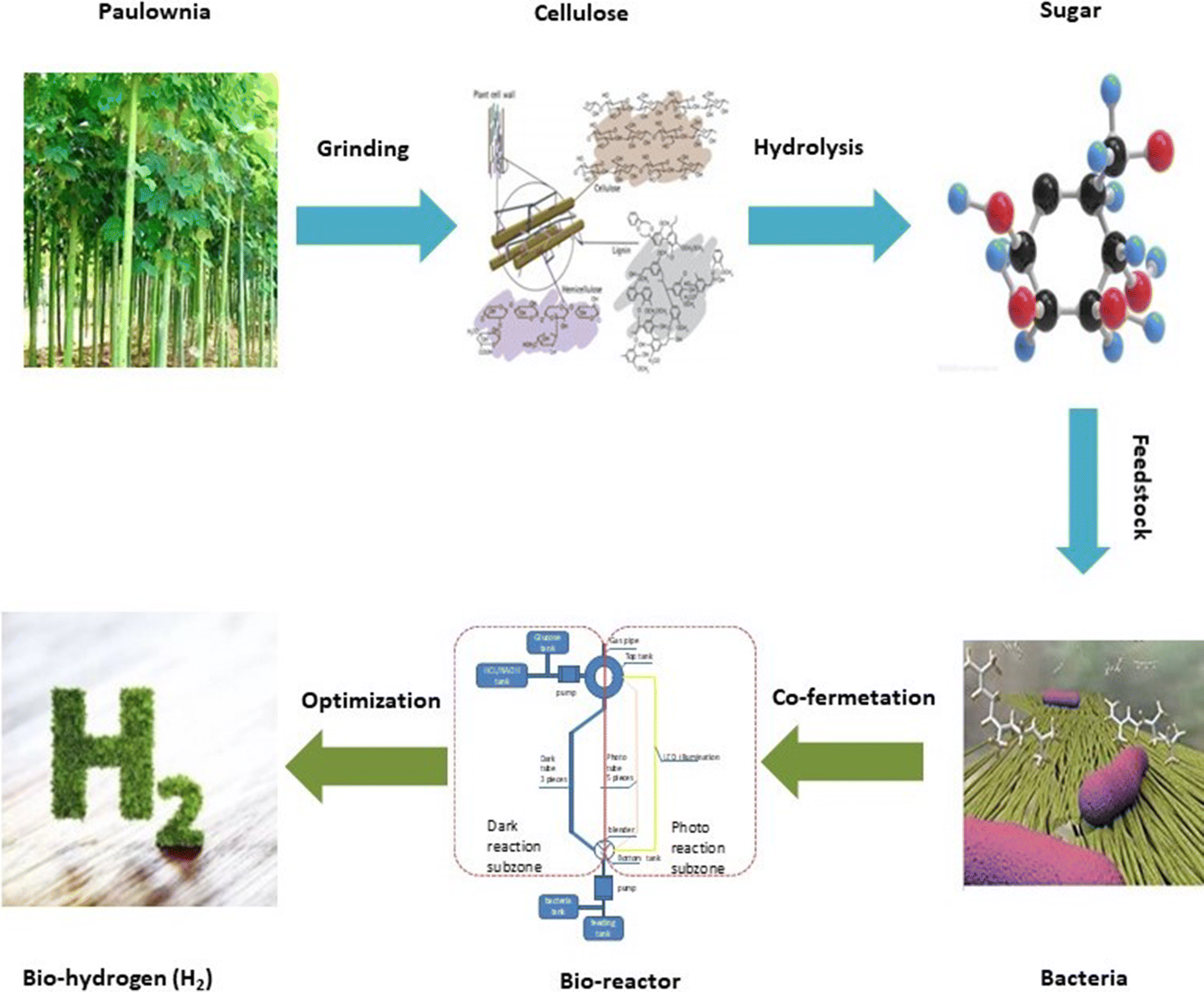 Continuous hydrogen production by dark and photo co-fermentation using ...