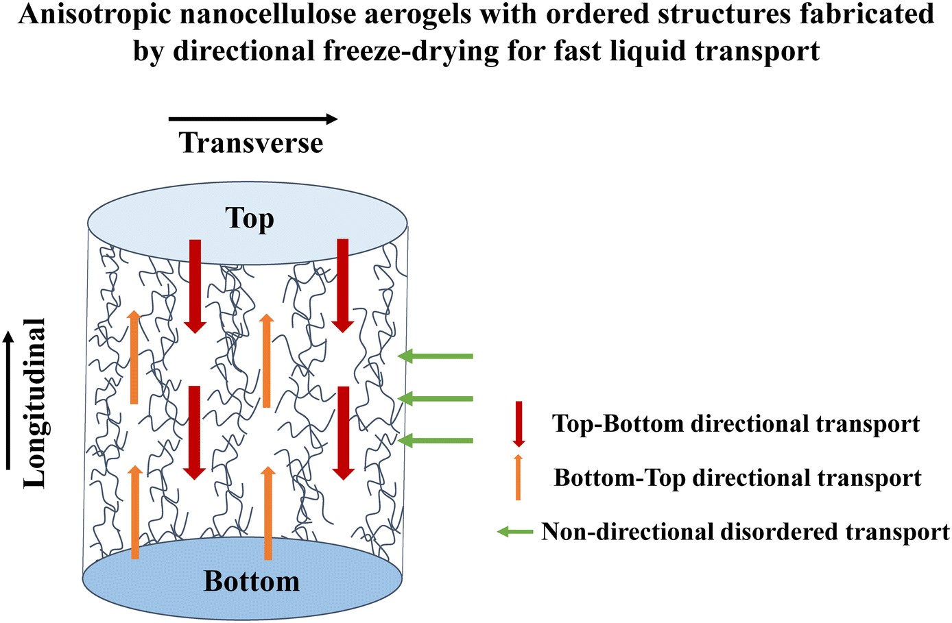 Anisotropic nanocellulose aerogels with ordered structures fabricated ...