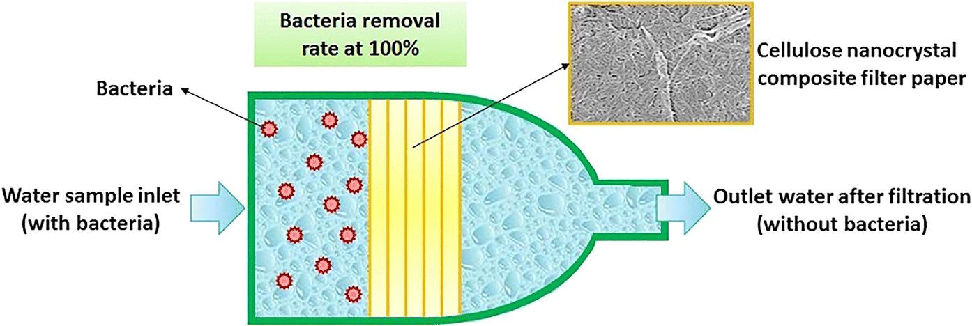 Fabrication of cellulose nanocrystal composite filter papers for rapid ...
