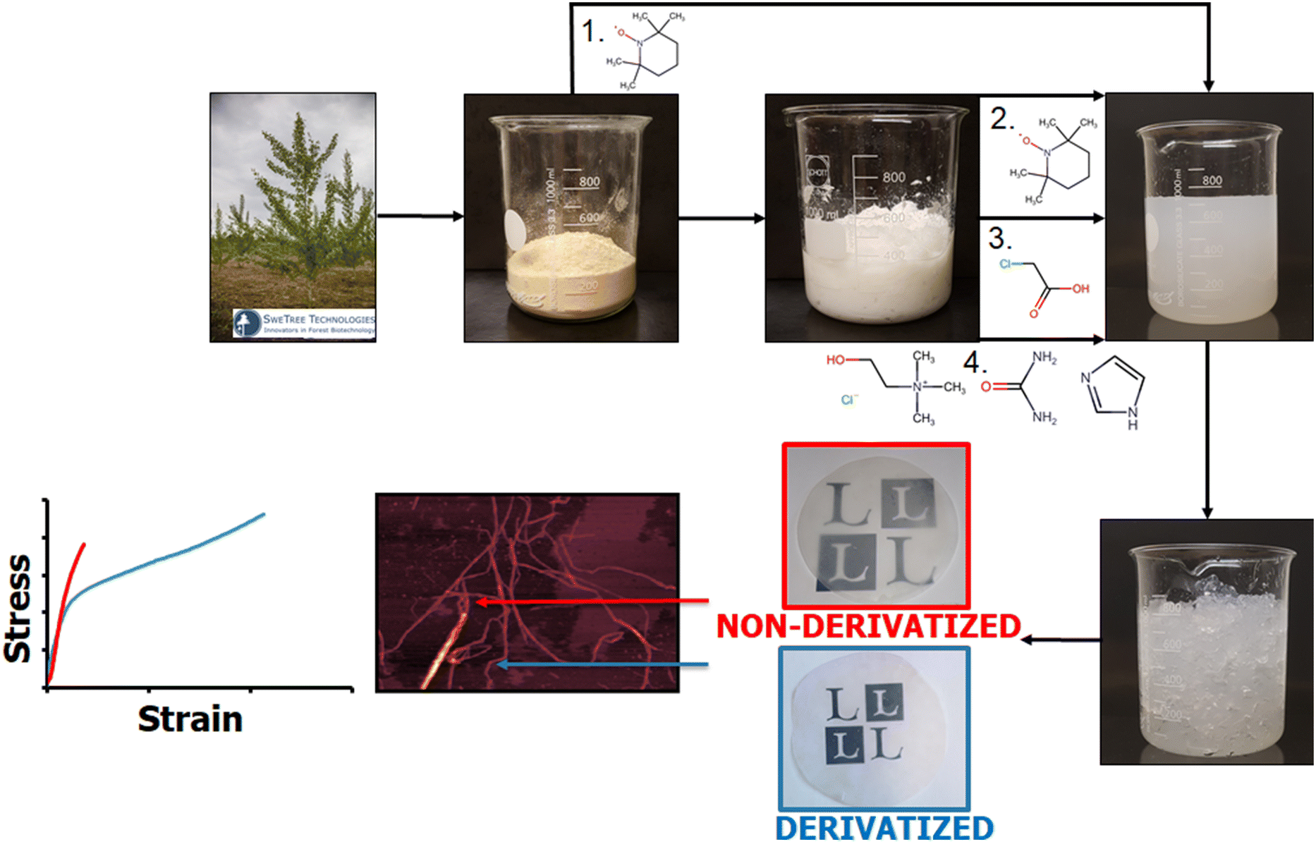 Isolation and characterization of cellulose nanofibers from aspen wood ...