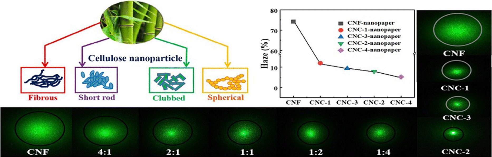 Optical haze regulation of cellulose nanopaper via morphological ...