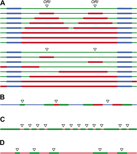 Defining replication origin efficiency using DNA fiber assays ...